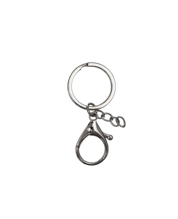 Ring Keychain with Chain